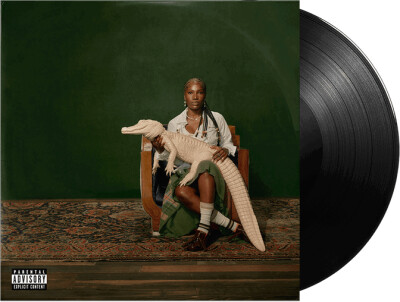 Køb Doechii - Alligator Bites Never Heal på Vinyl LP - album - Gucca.dk