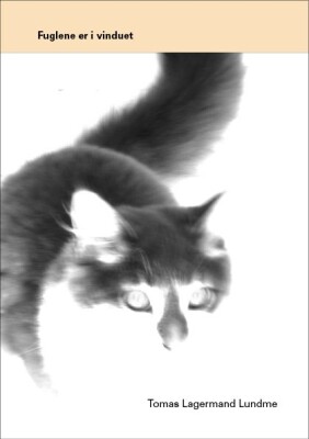 Fuglene Er I Vinduet af Tomas Lagermand Lundme - Paperback Bog - Gucca.dk