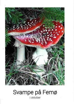 Svampe På Femø I Oktober af Ole Terney - Hardback Bog - Gucca.dk
