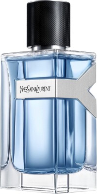 Køb Yves Saint Laurent - The Y Man Edt 100 Ml - Gucca.dk