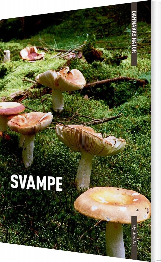 Danmarks Natur Svampe af Torben Gang Rasmussen - Hæftet Bog - Gucca.dk