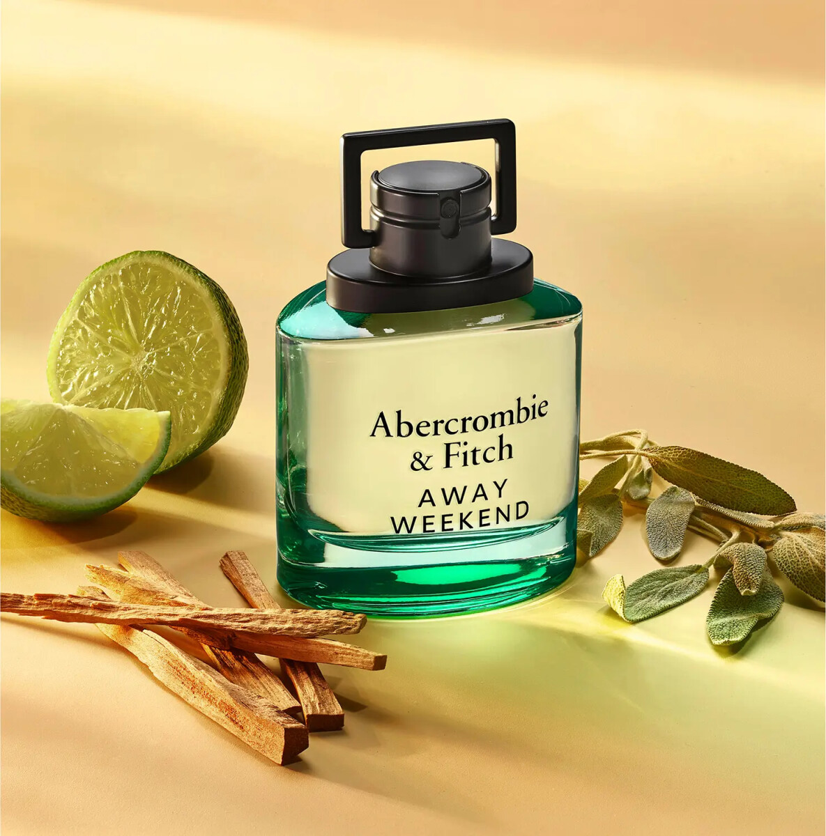 Køb Abercrombie & Fitch - Away Weekend Men Edt 100 Ml - Gucca.dk