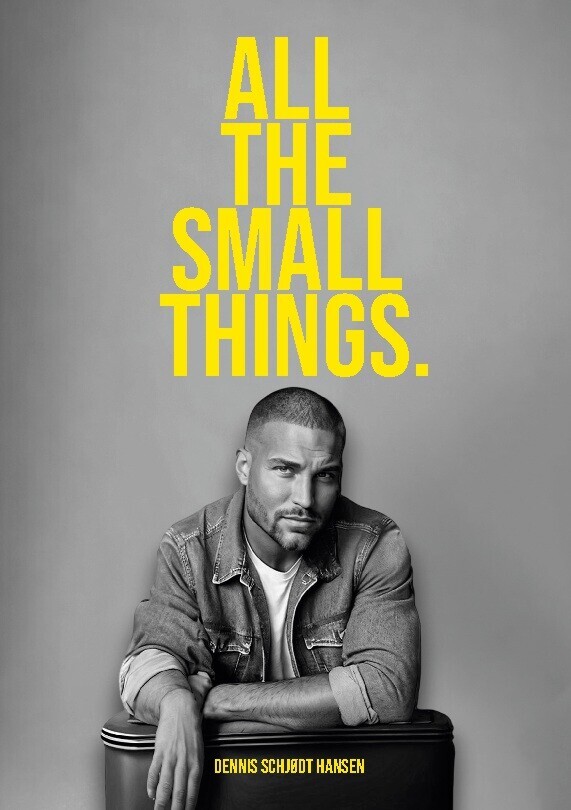 All The Small Things af Dennis Schjødt Hansen - English Book - Gucca.dk