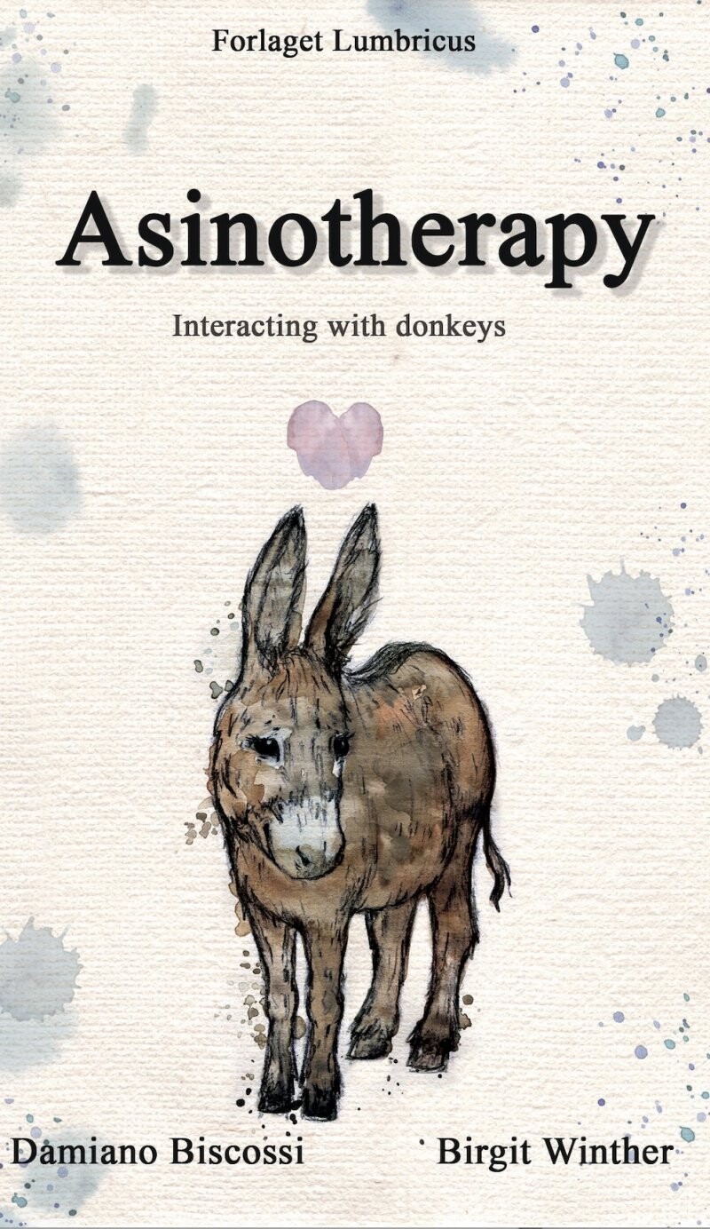 Køb Asinotherapy af Birgit Winther - bog paperback - Gucca.dk