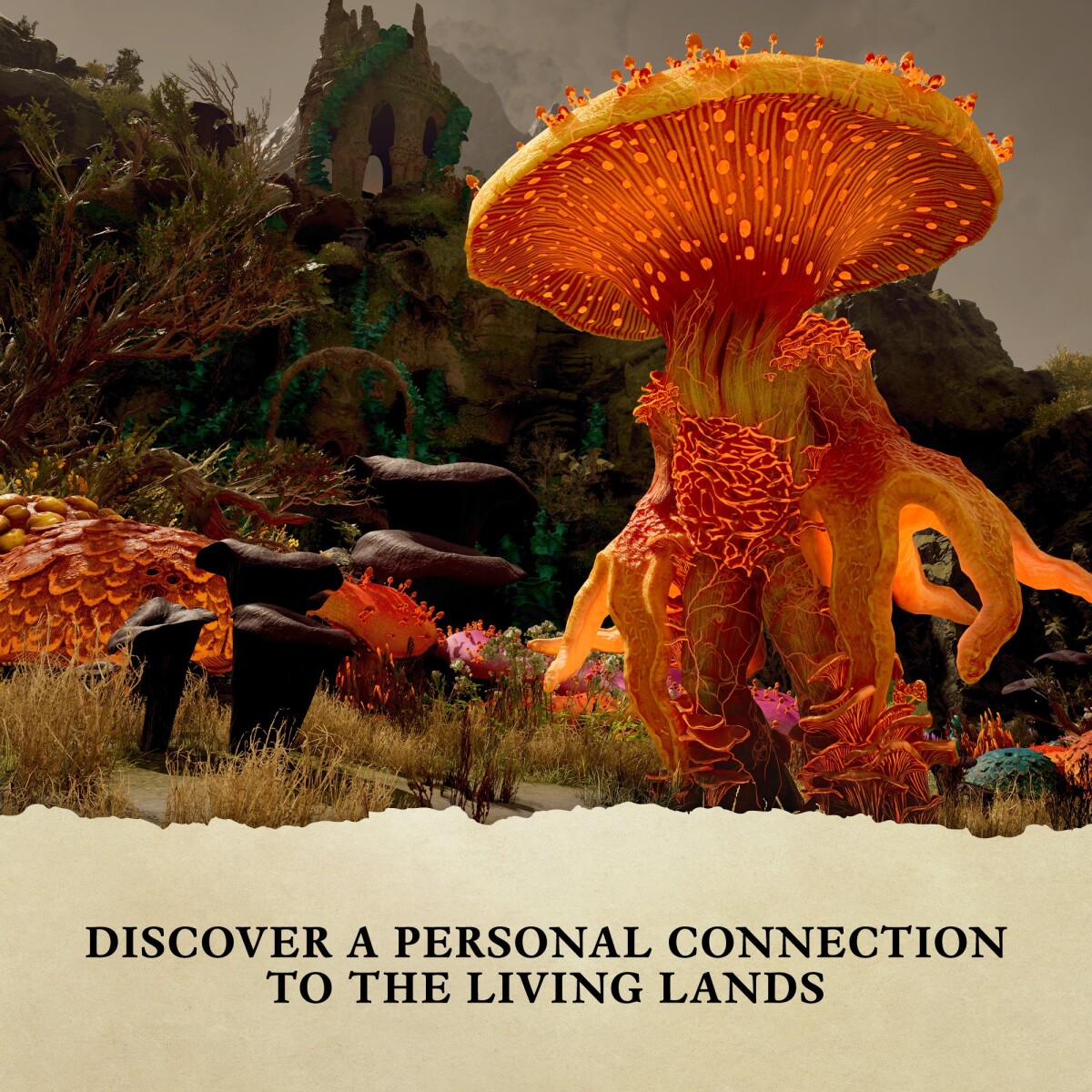 Køb Avowed - Premium Edition Steelbook - Xbox Series X - S And Windows ...