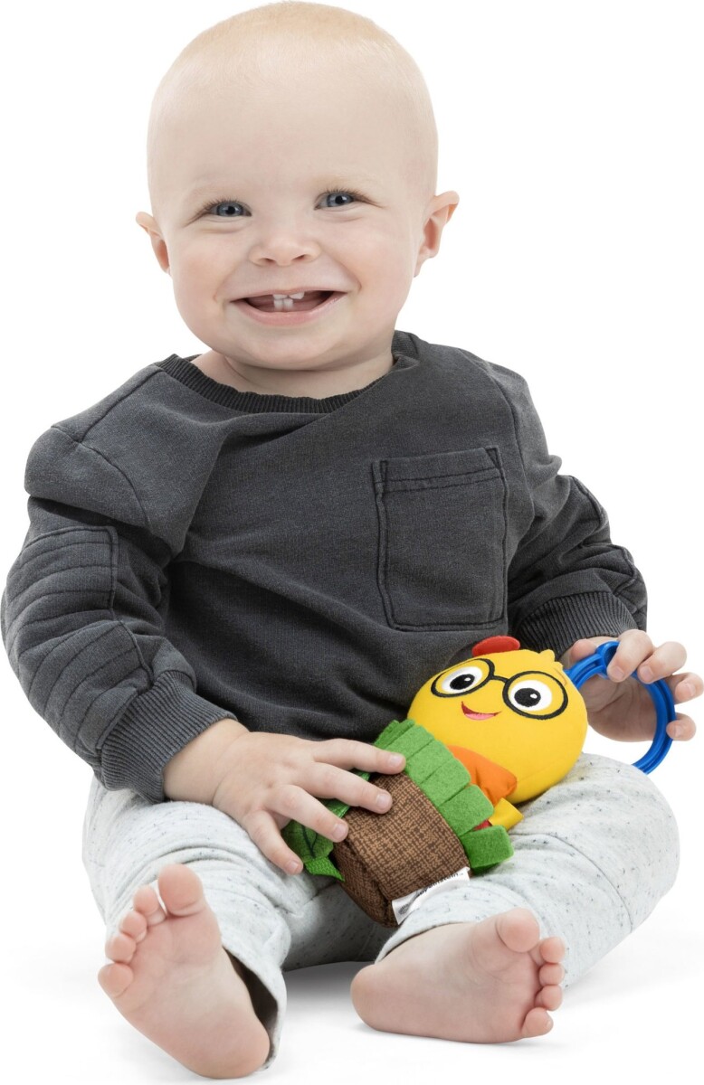 Køb Baby Einstein - Aktivitetslegetøj Til Stativ - Cal-a-puller - Gucca.dk