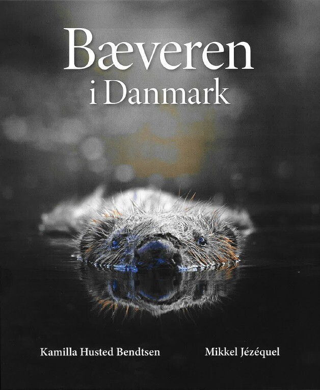Køb Bæveren I Danmark af Kamilla Husted Bendtsen - bog hardback - Gucca.dk