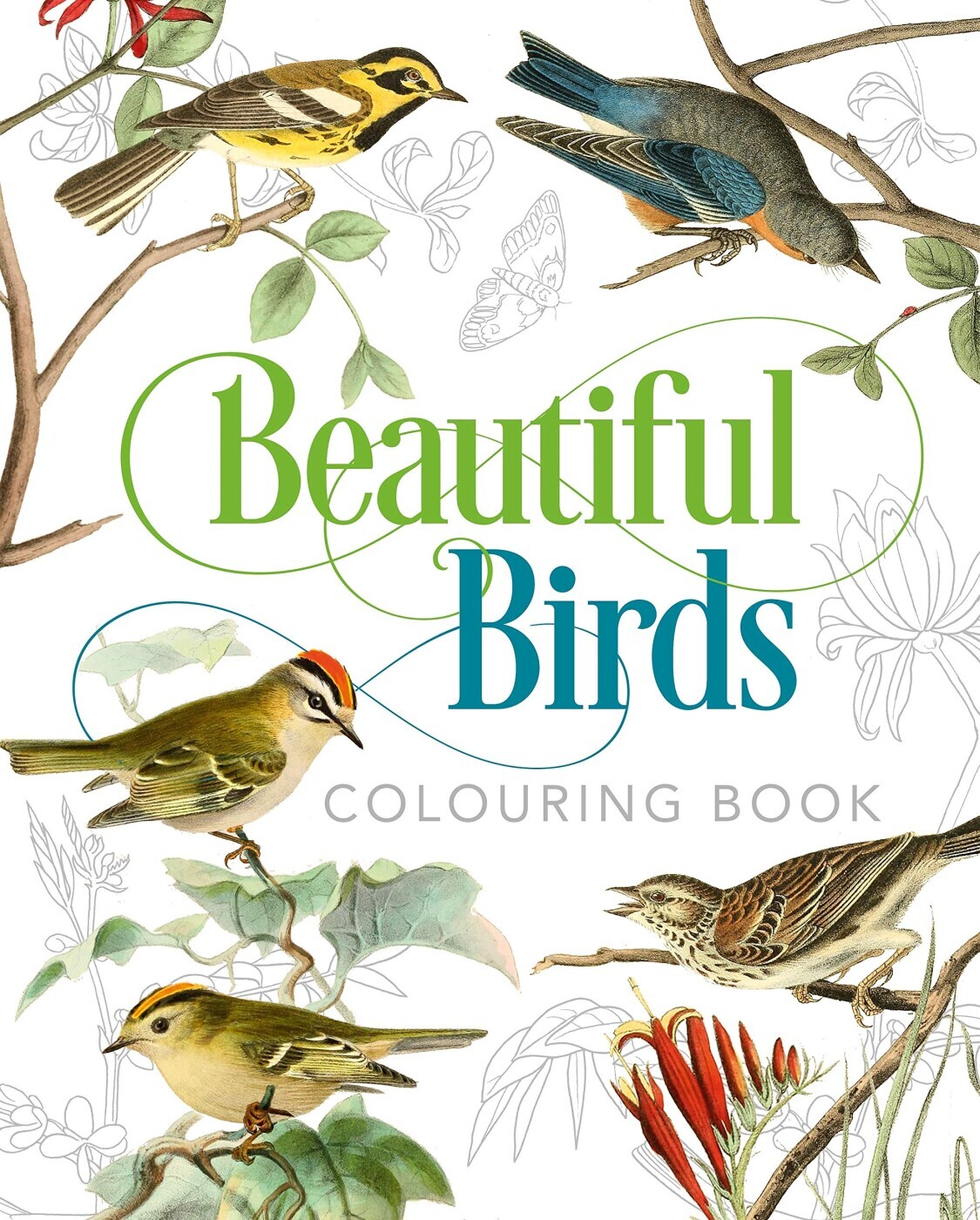 Beautiful Birds Colouring Book af Peter Gray - English Book - Gucca.dk