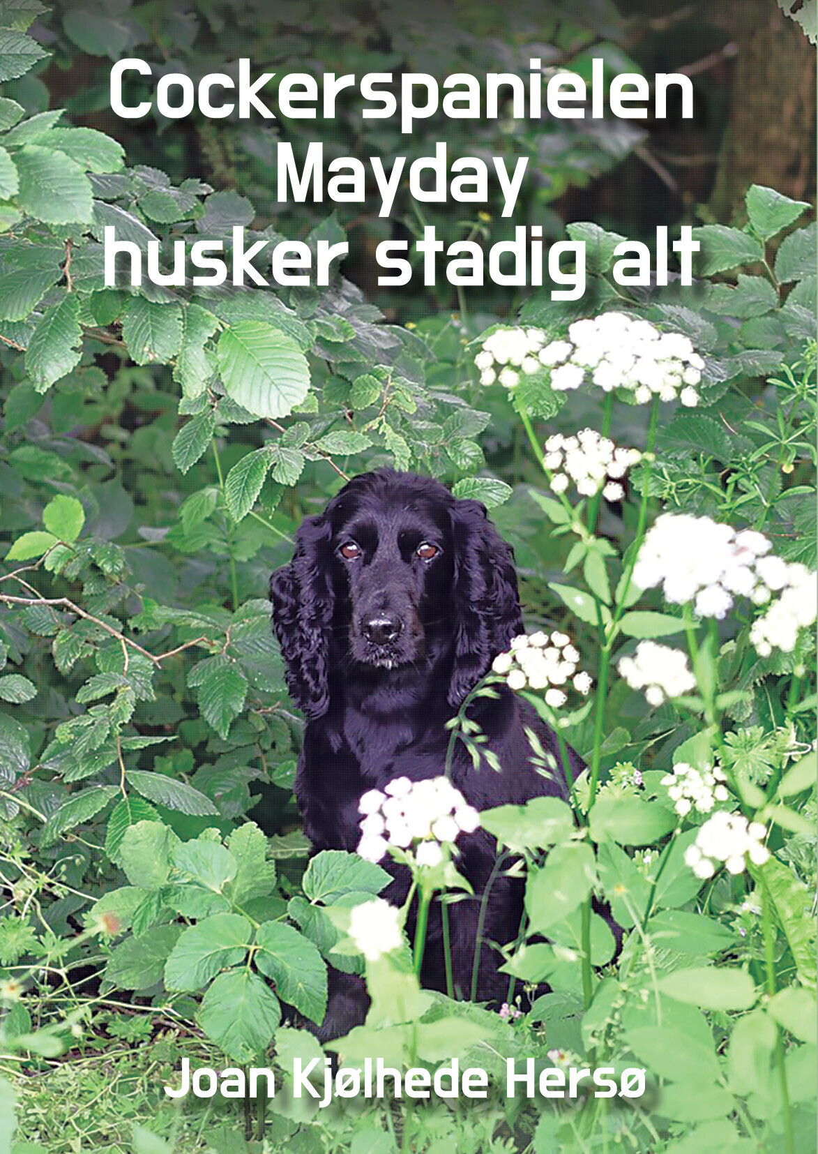 Køb Cockerspanielen Mayday Husker Stadig Alt af Joan Kjølhede Hersø ...