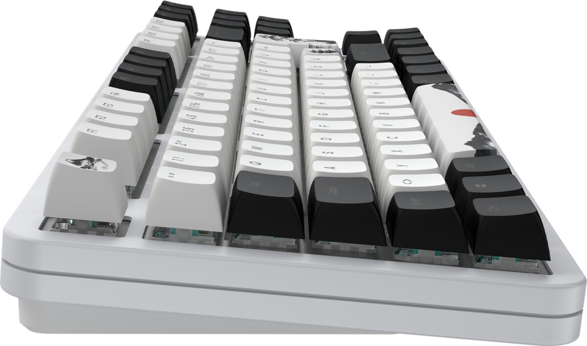 Køb Dark Project - Alu87 Fuji V2 Alu- Mechanical Gaming Keyboard - Iso ...