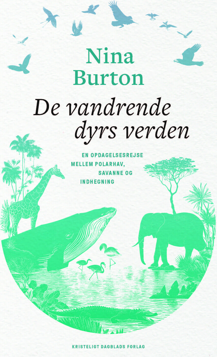Køb De Vandrende Dyrs Verden af Nina Burton - bog hæftet - Gucca.dk