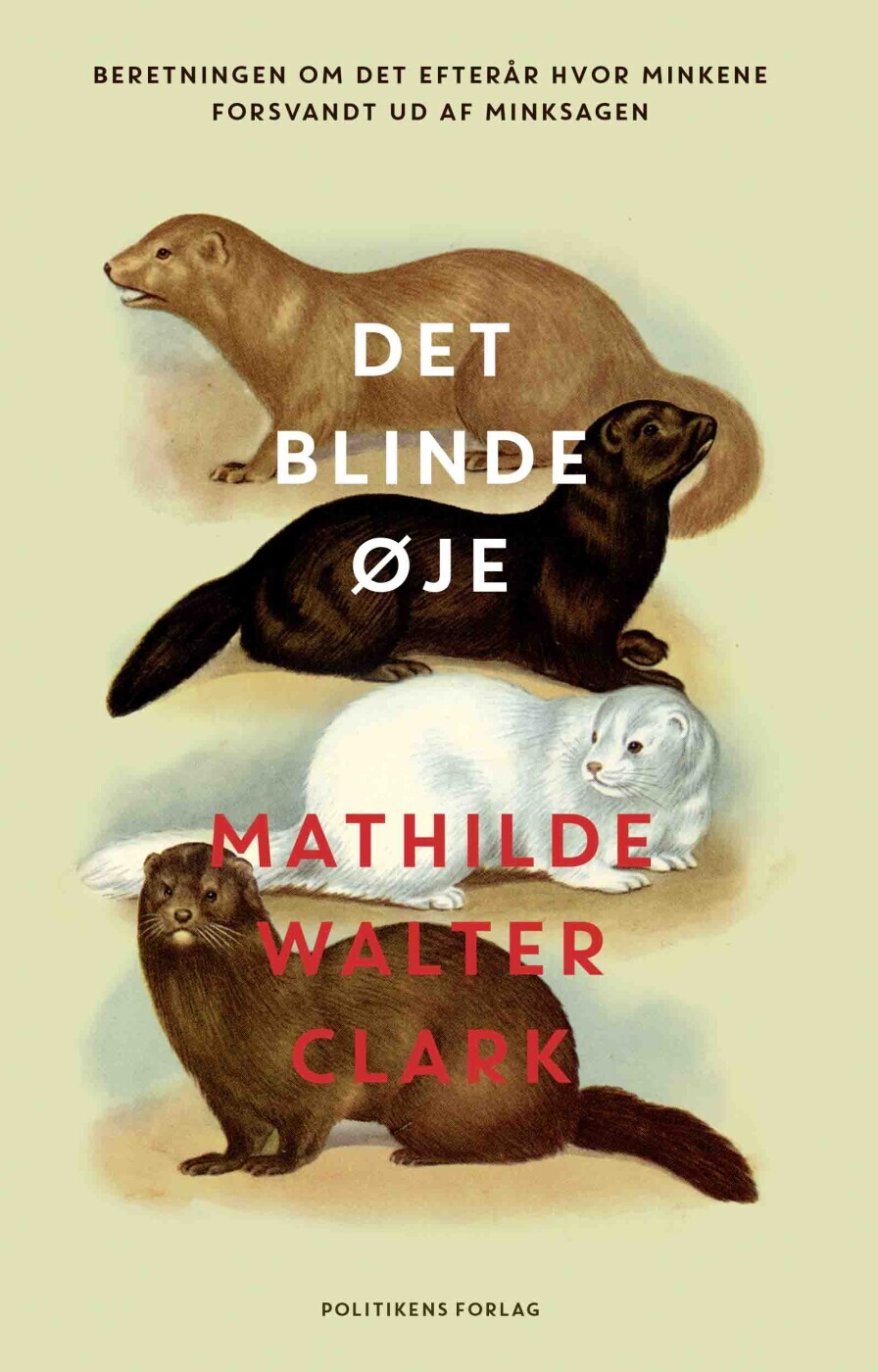 Køb Det Blinde øje af Mathilde Walter Clark - bog hæftet - Gucca.dk