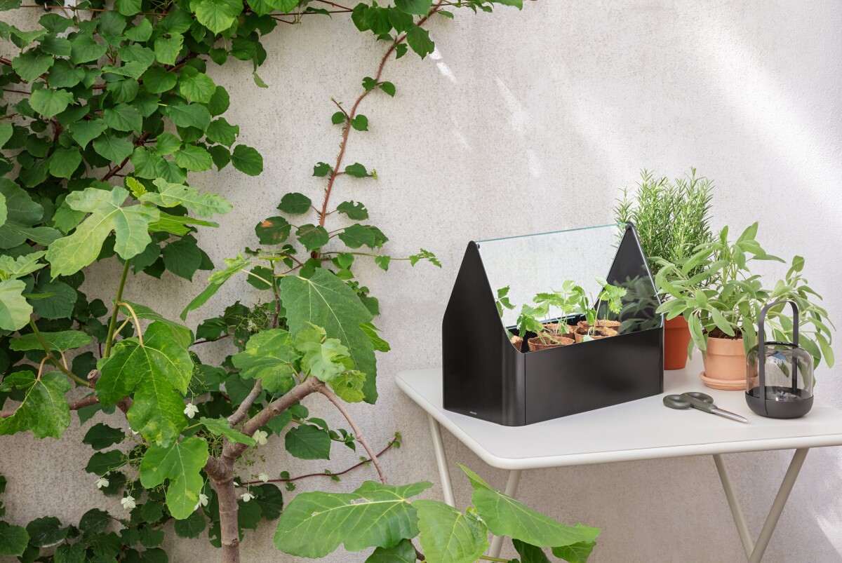 Køb Eva Solo - Simply Grow - Mini Drivhus - Sort - Stål - Gucca.dk