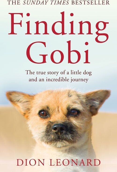 Køb Finding Gobi af Dion Leonard - english book - Gucca.dk