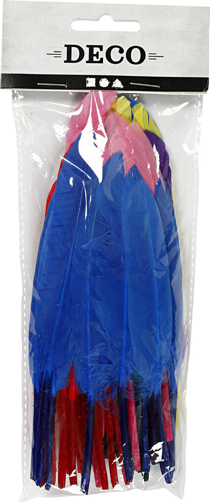 Køb Fjer - L 13 Cm - Forskellige Farver - 48 Stk fra Creativ Company ...