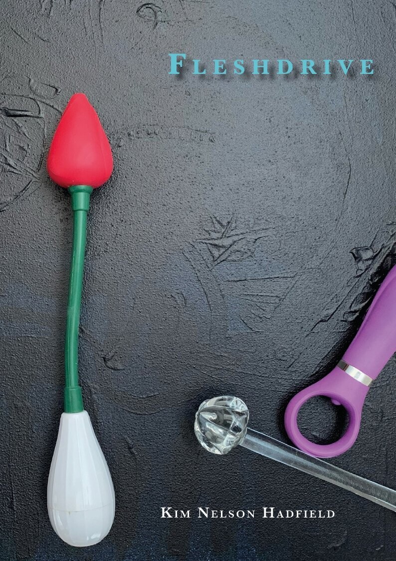 Fleshdrive af Kim Nelsson Hadfield - Paperback Bog - Gucca.dk