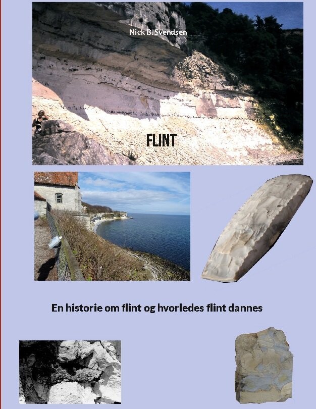 Køb Flint af Nick B. Svendsen - bog paperback - Gucca.dk