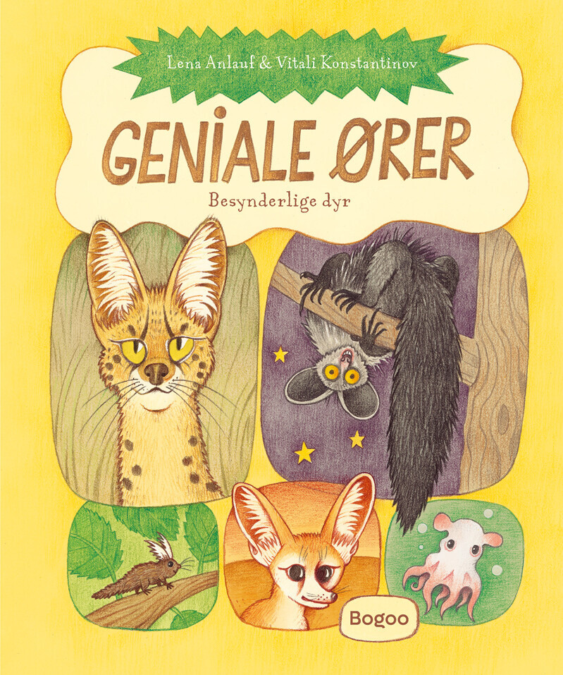 Køb Geniale Ører af Lena Anlauf - bog hardback - Gucca.dk