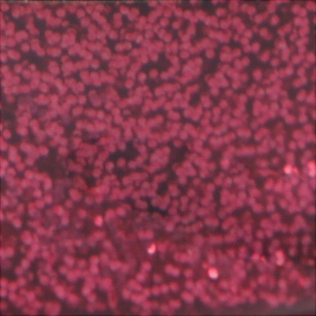 Glitterlim - Pink - 25 Ml | Se tilbud og køb på Gucca.dk