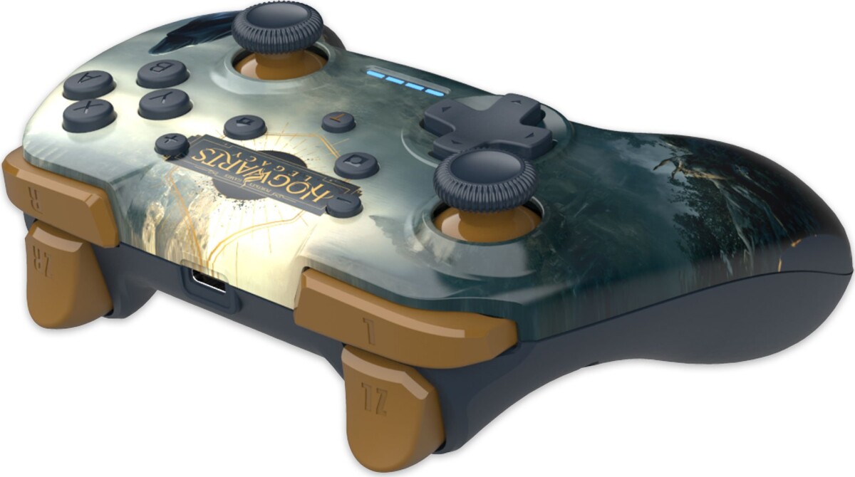 Køb Hogwarts Legacy - Switch Controller - Trådløs - Harry Potter fra ...