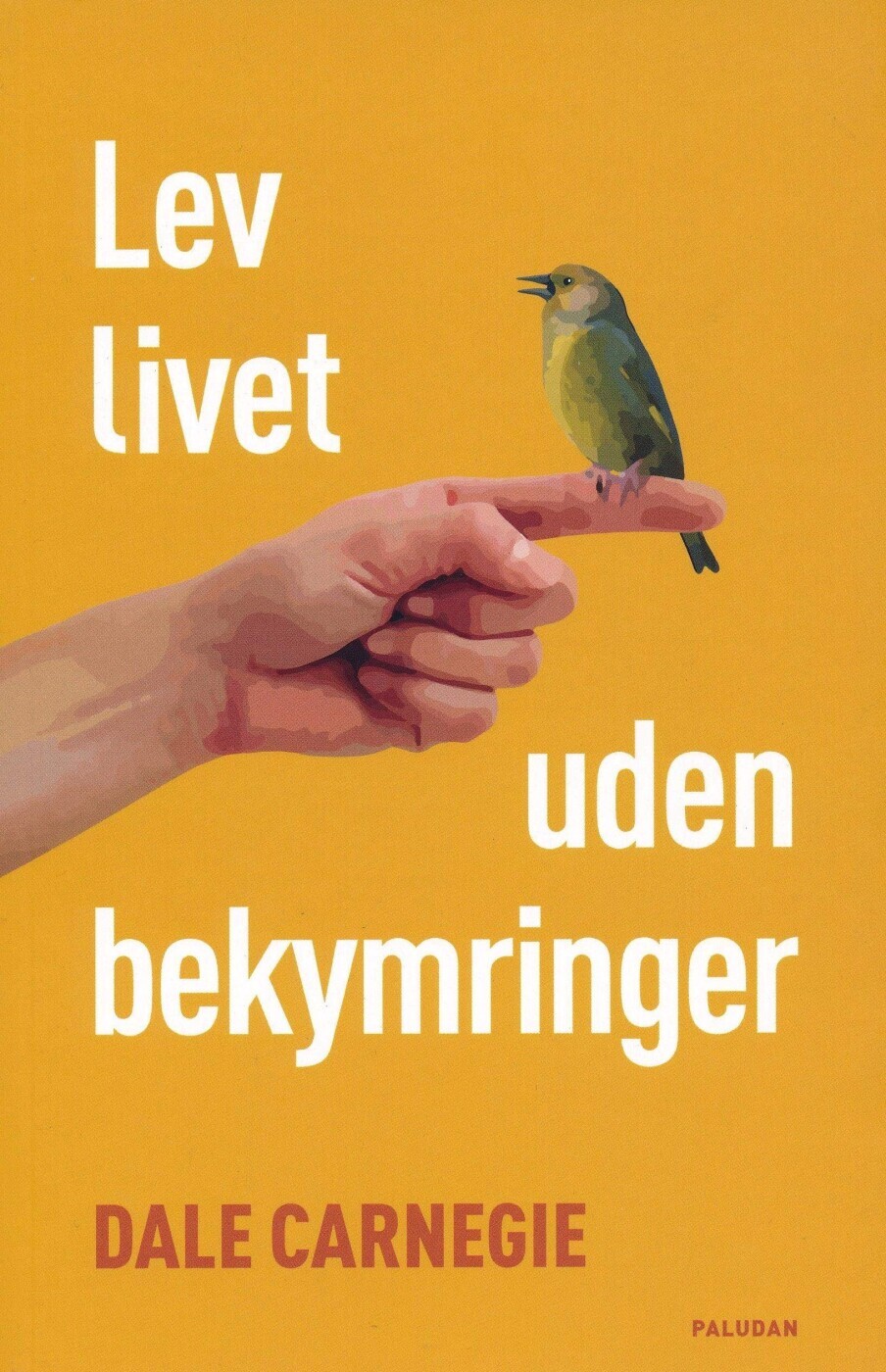 Køb Lev Livet Uden Bekymringer af Lev Livet Uden Bekymringer - bog ...