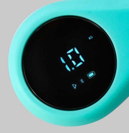 Move It - Beat Smart Dumbbell 2* 1.0kg Smart Dumbbell | Se tilbud og ...