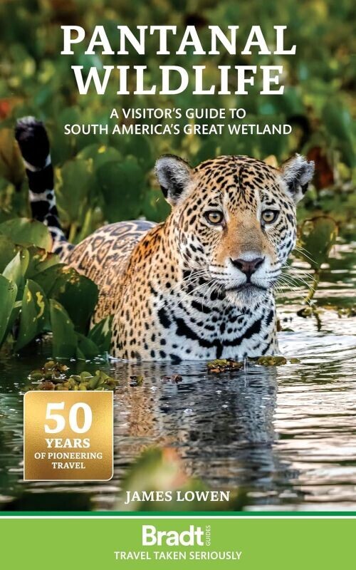 Bradt - Pantanal Wildlife : A Visitors Guide To Brazil's Great Wetland ...