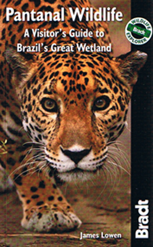 Bradt - Pantanal Wildlife af James Lowen - English Book - Gucca.dk