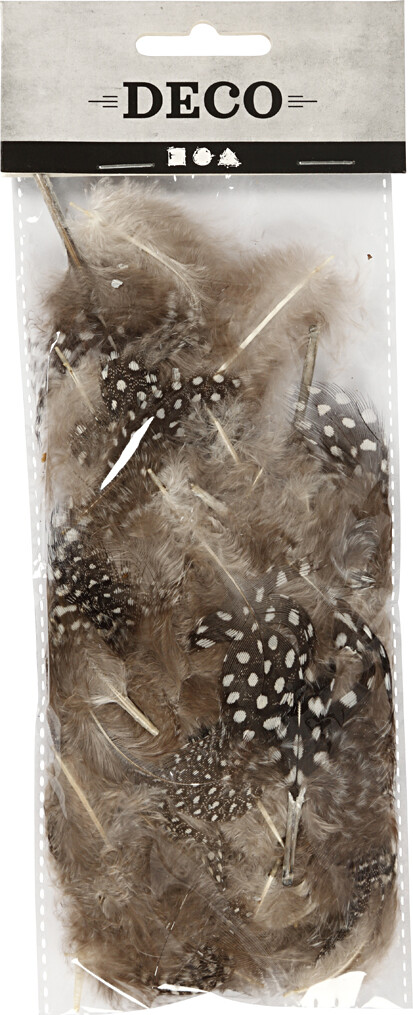 Køb Fjer - Perlehøns - 3 G - Brun fra Creativ Company - Gucca.dk