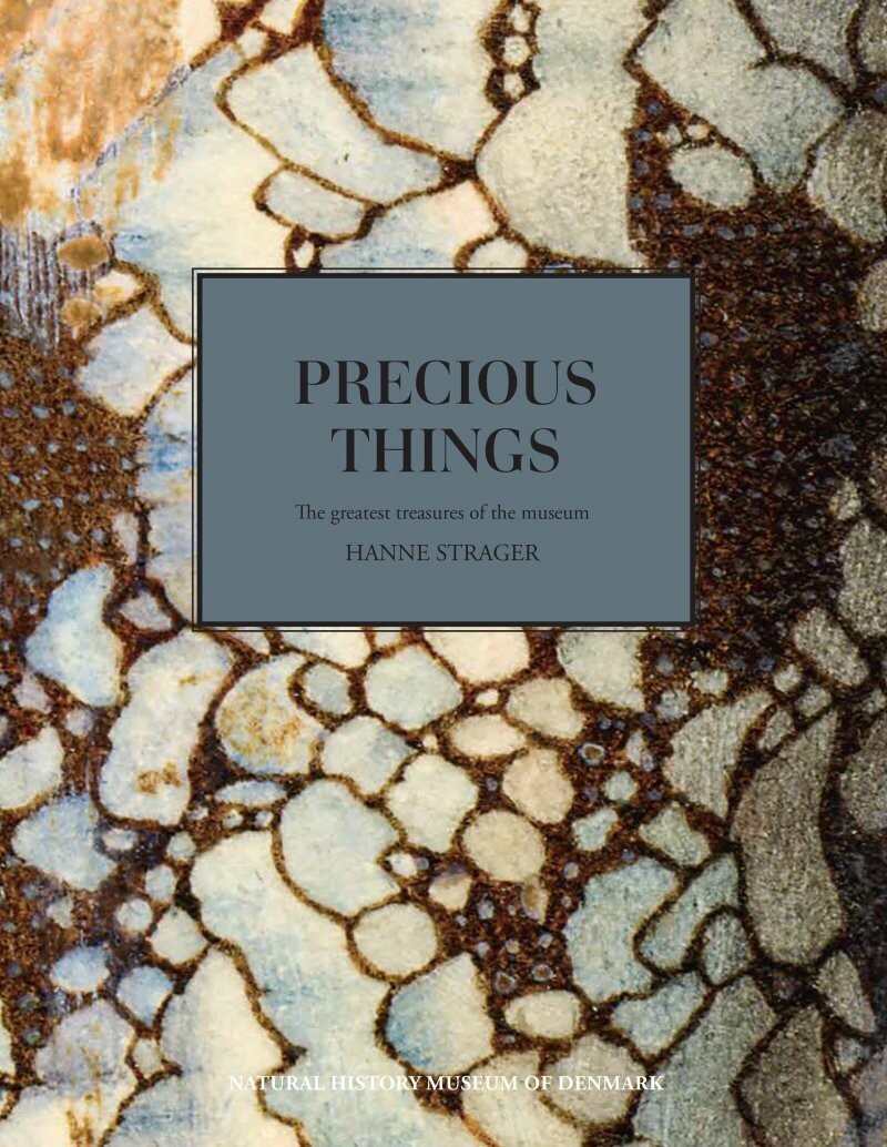 Precious Things af Hanne Strager - English Book - Gucca.dk