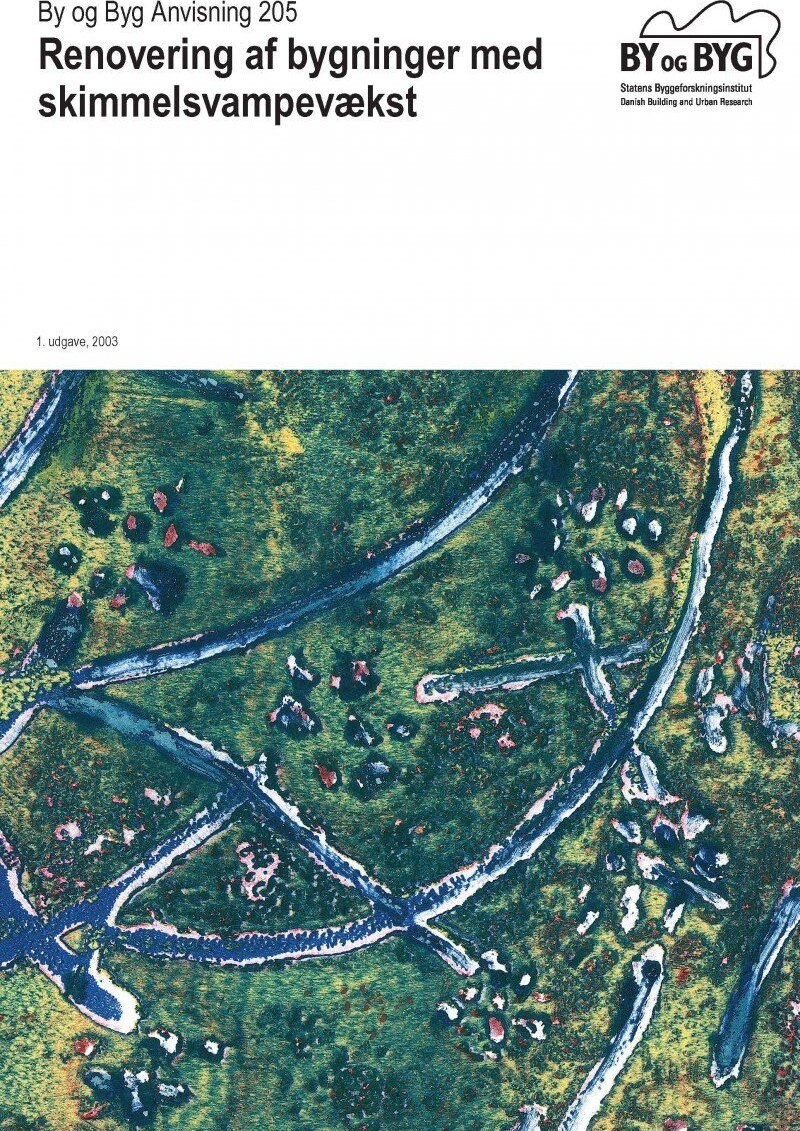 By Og Byg Anvisning 205 - Renovering Af Bygninger Med Skimmelsvampevækst af Anne Pia Koch ...
