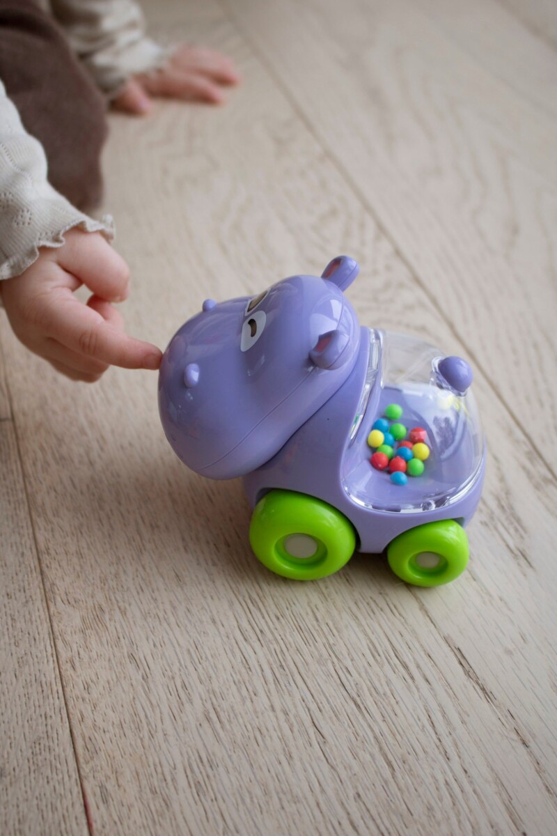 Legetøjsbil Til Baby - Flodhest Med Konfetti - Scandinavian Baby | Se ...