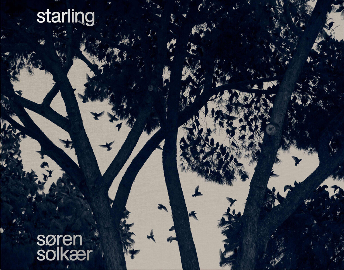 Starling af Søren Solkær - English Book - Gucca.dk